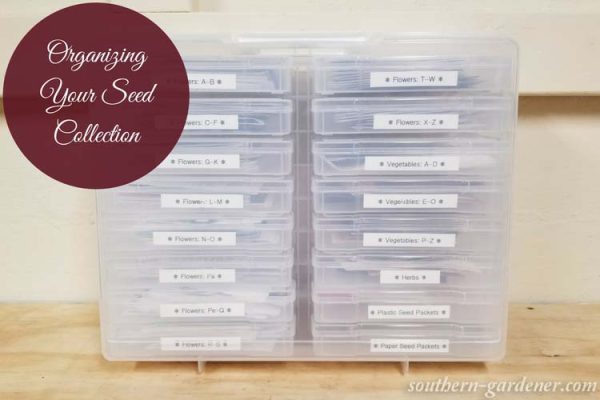 Organizing Your Seed Collection – Southern Gardener