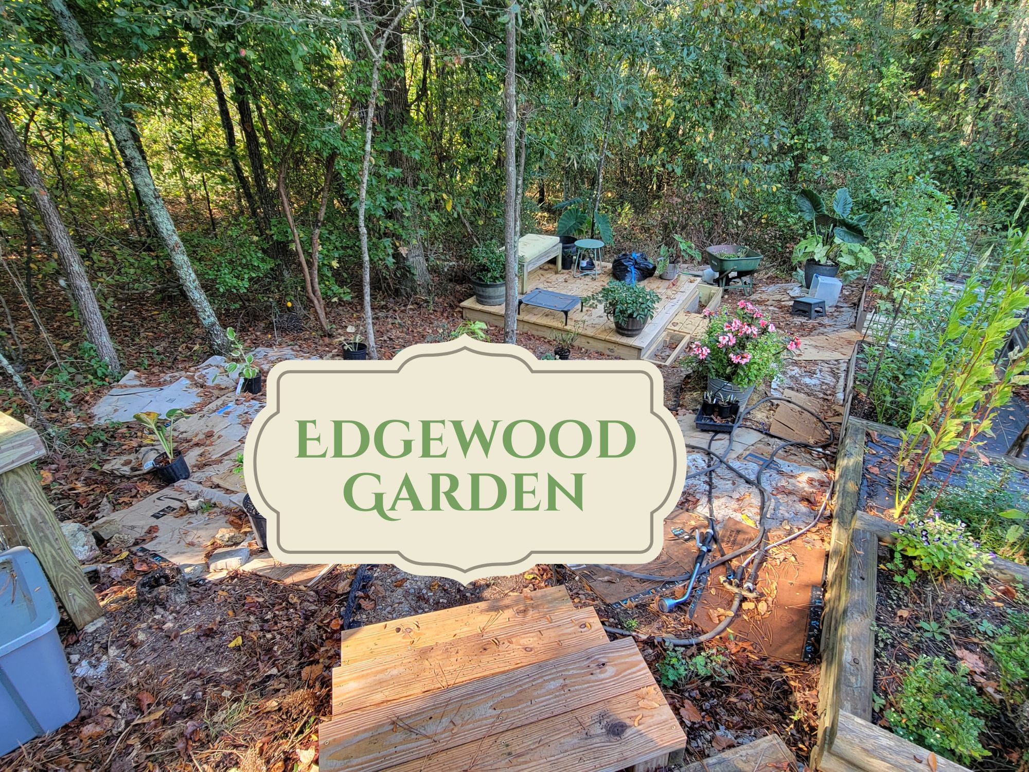 Edgewood Garden – Southern Gardener